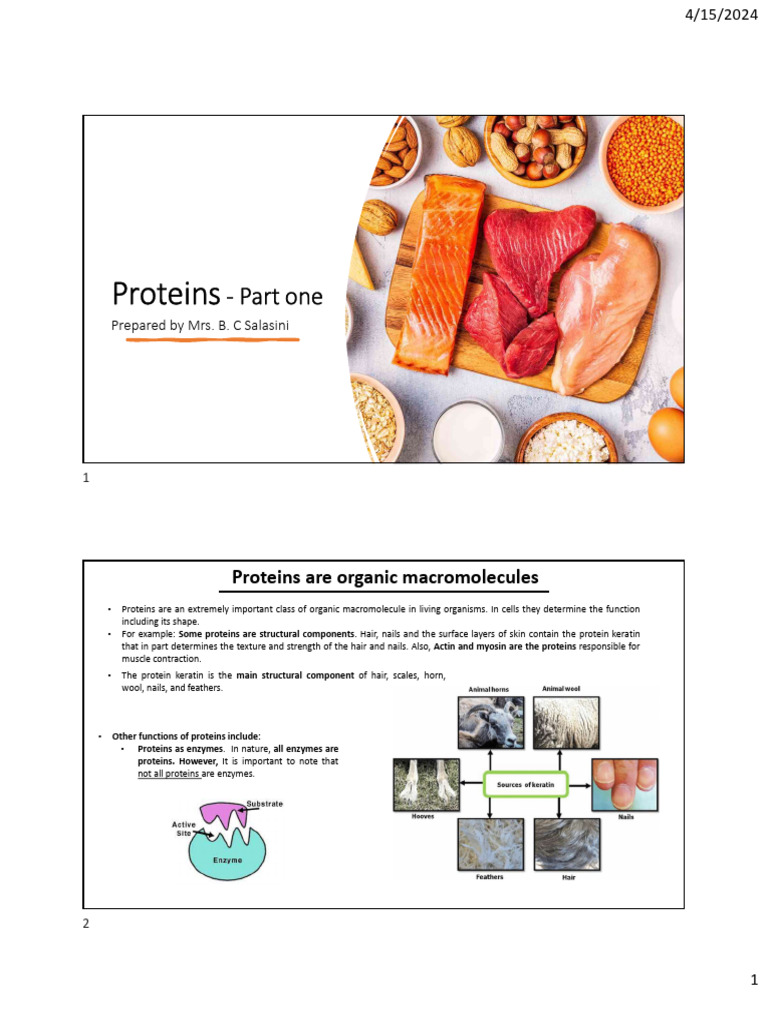 Proteins Lect One Handout 240415 160806 | PDF | Acid Dissociation ...