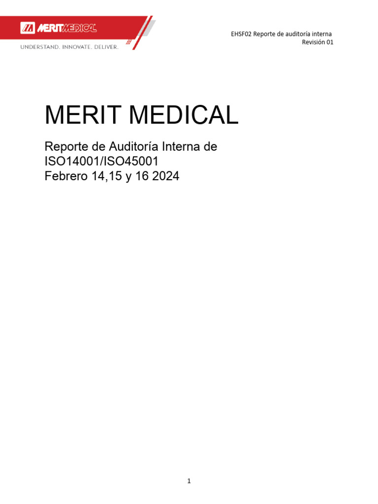EHSF02 Reporte de Auditoría Interna 2023-24 REPORTE FINAL | PDF