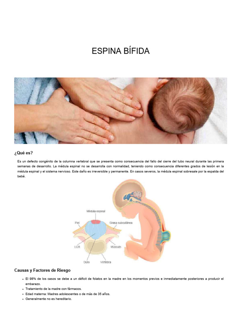 Espina Bífida: Causas, Tipos y Tratamiento | PDF | Especialidades ...