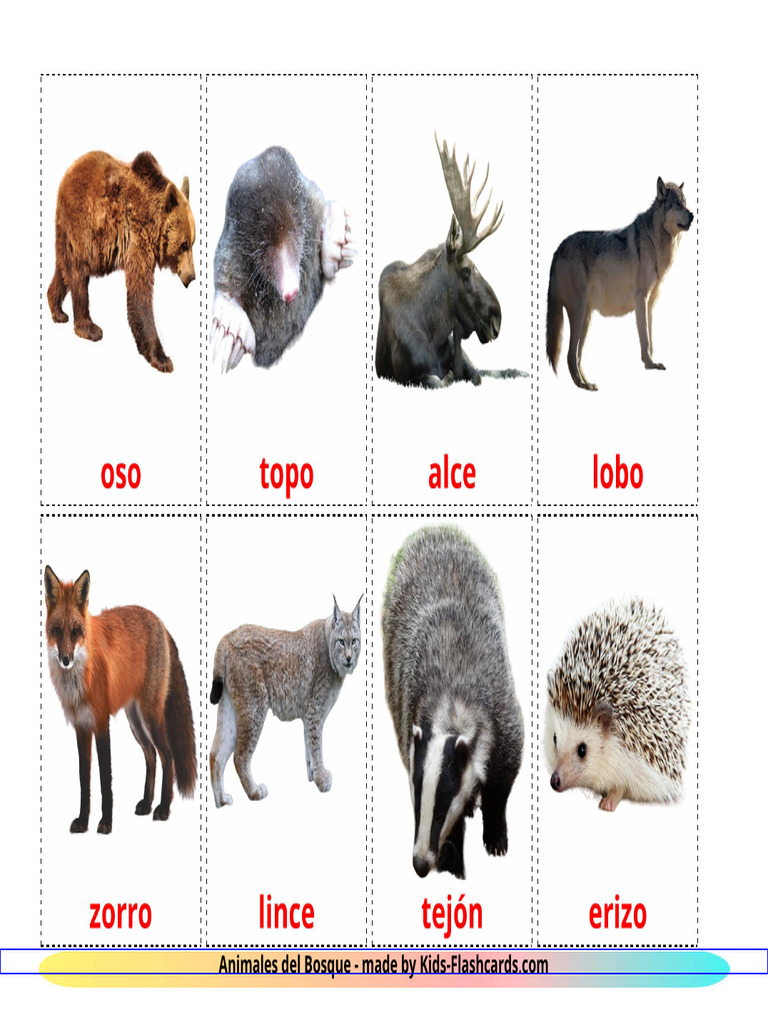 Animales Del Bosque | PDF | Language Arts & Discipline
