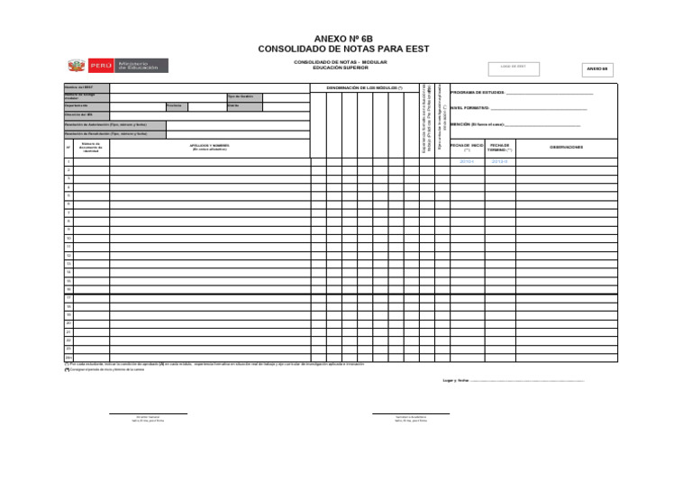 Anexo 6b Consolidado de Notas para Eest | PDF