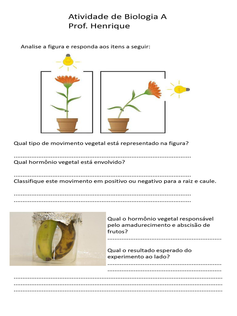 Fisiologia Vegetal | PDF