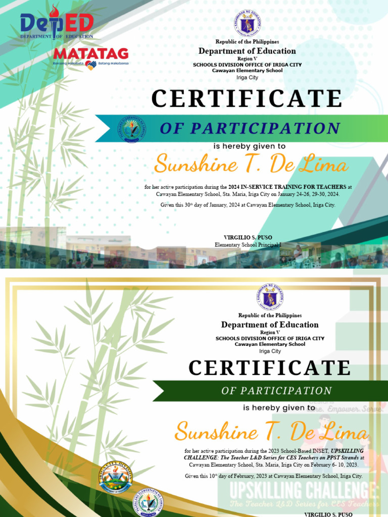 CERT INSET For PARTICIPANTS | PDF | Asia | Government Institutions