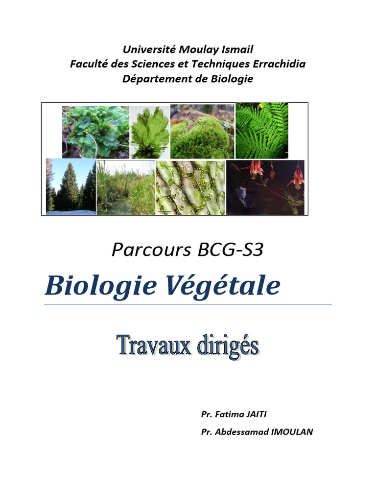 Multiplication Végétative des Plantes | PDF | Racine | Bulbe