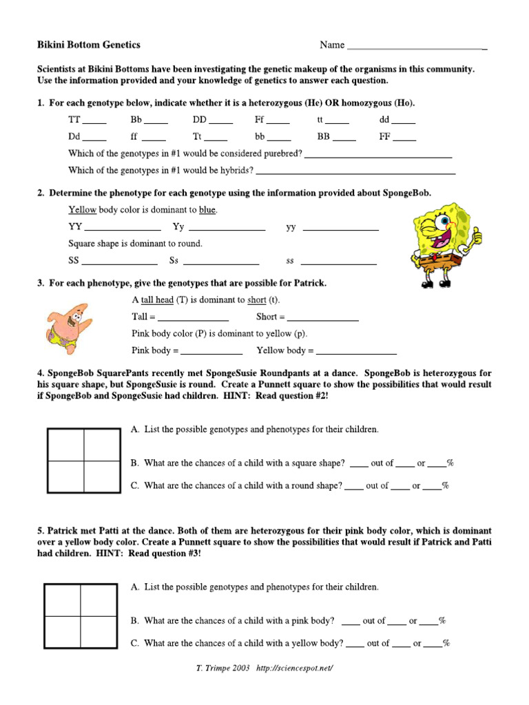 Spongebob Genetics 1 | PDF