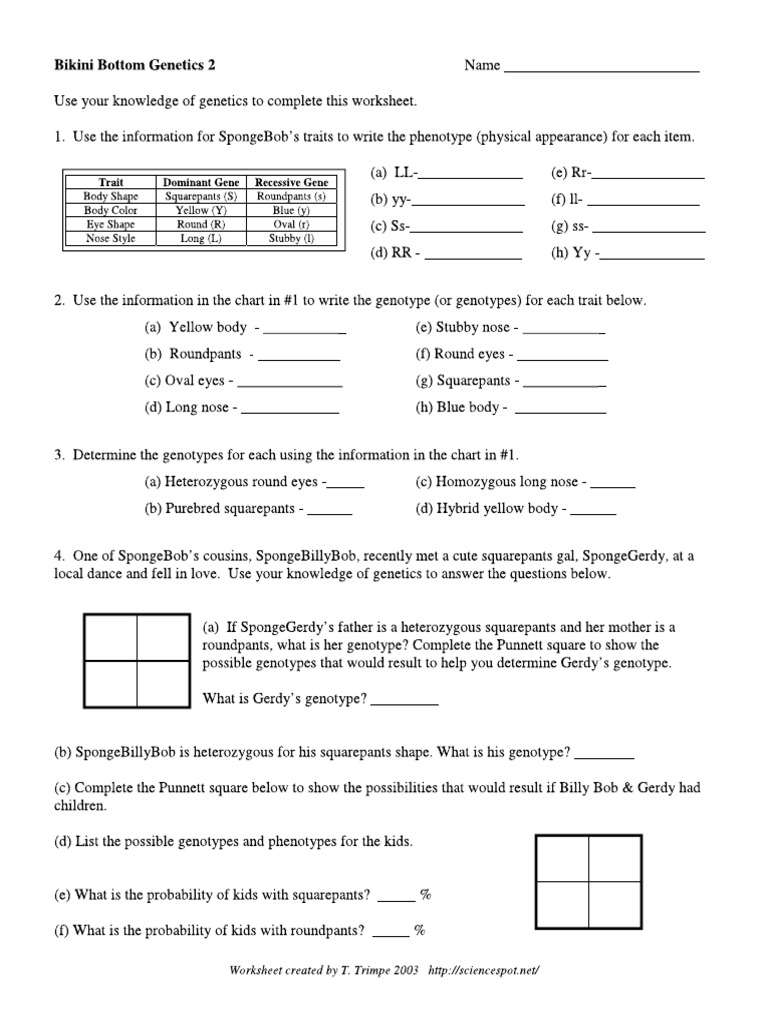 Spongebob Genetics 2 | PDF