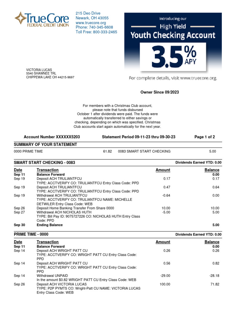 Statement | PDF | Overdraft | Money