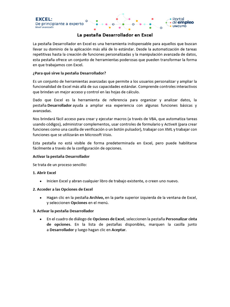 La Pestaña Desarrollador en Excel | PDF | Microsoft Excel | Macro ...