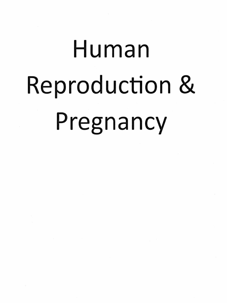 Human Reproduction & Pregnancy Booklet2024 | PDF | Human Reproduction ...