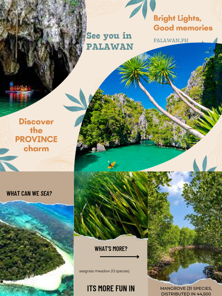 Explore the Beauty of Palawan | PDF