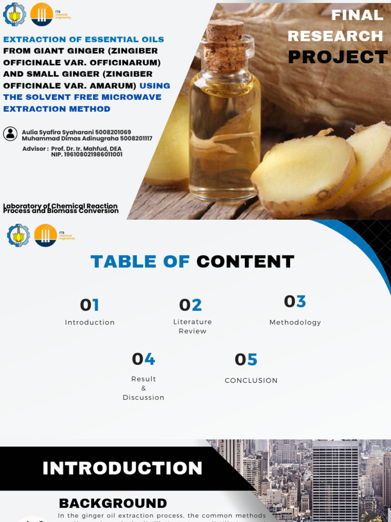 FINAL RESEARCH - SFME - Aulia Syafira - Dimas Adinugraha | PDF ...