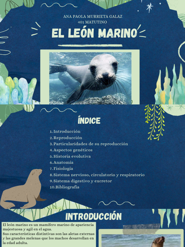 Presentación Sobre El León Marino (1) (ANA PAOLA MURRIETA GALAZ (3 ...