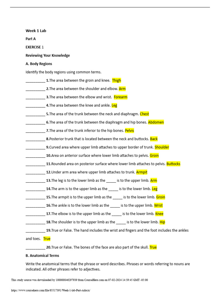 BODY REGIONS | PDF | Human Leg | Anatomical Terms Of Location
