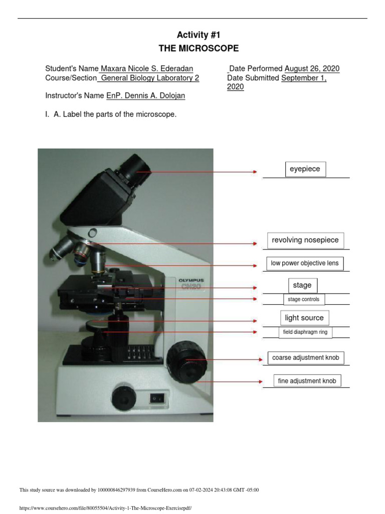 Activity 1 The Microscope Exercise PDF | PDF | Microscope ...