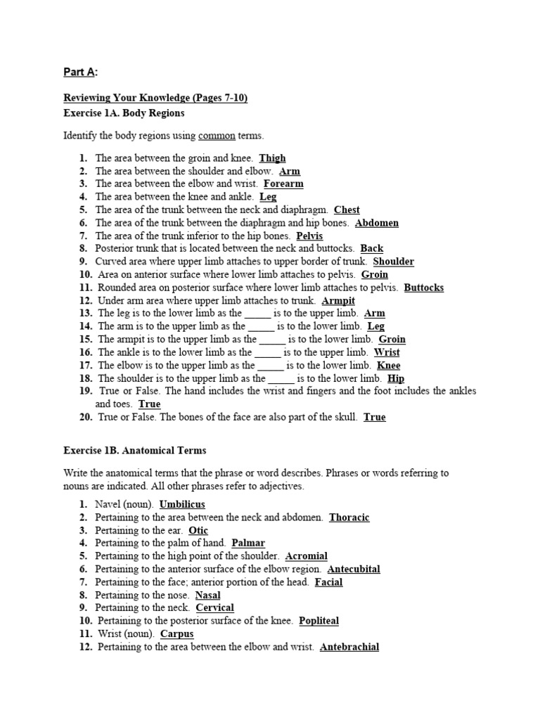 Lab 1 Assignment | Download Free PDF | Human Body | Anatomical Terms Of ...