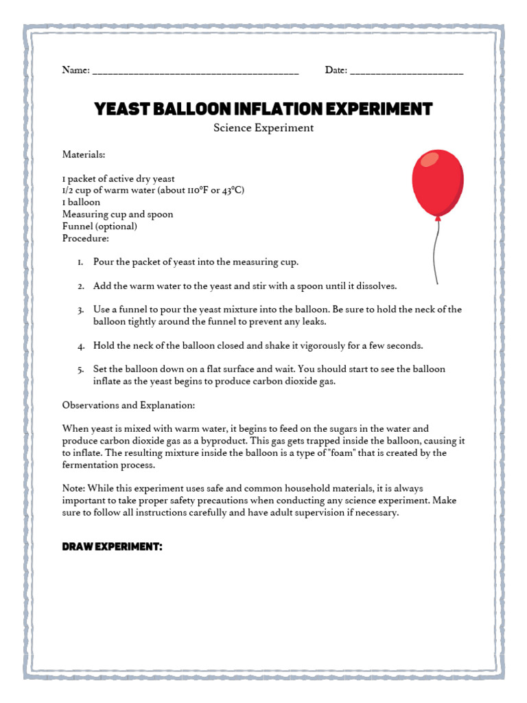 Yeast Balloon Inflation Experiment & Worksheet | PDF | Yeast | Experiment