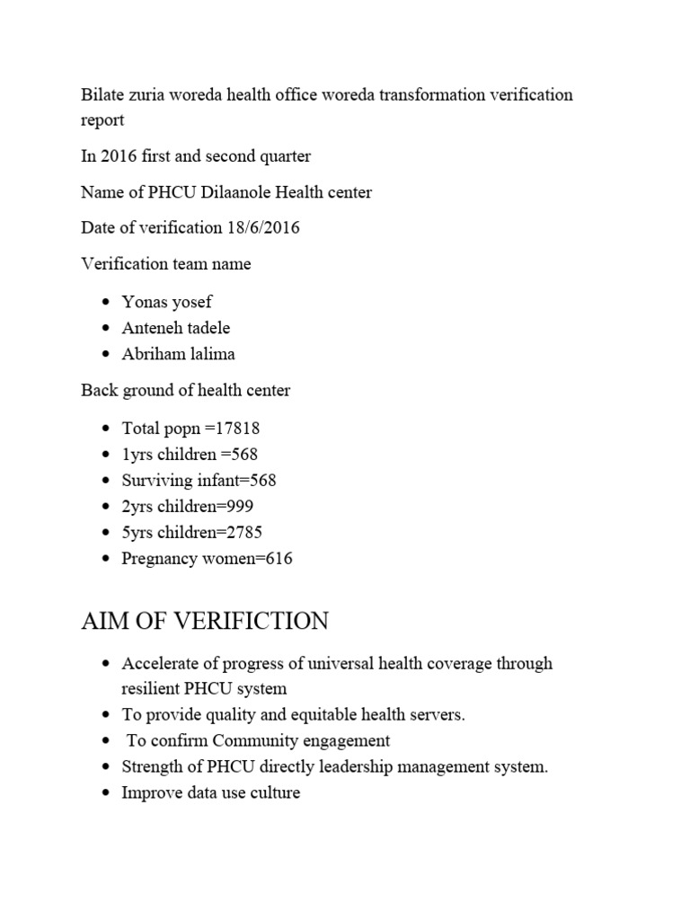 Dila Anole Verifiction Report | PDF