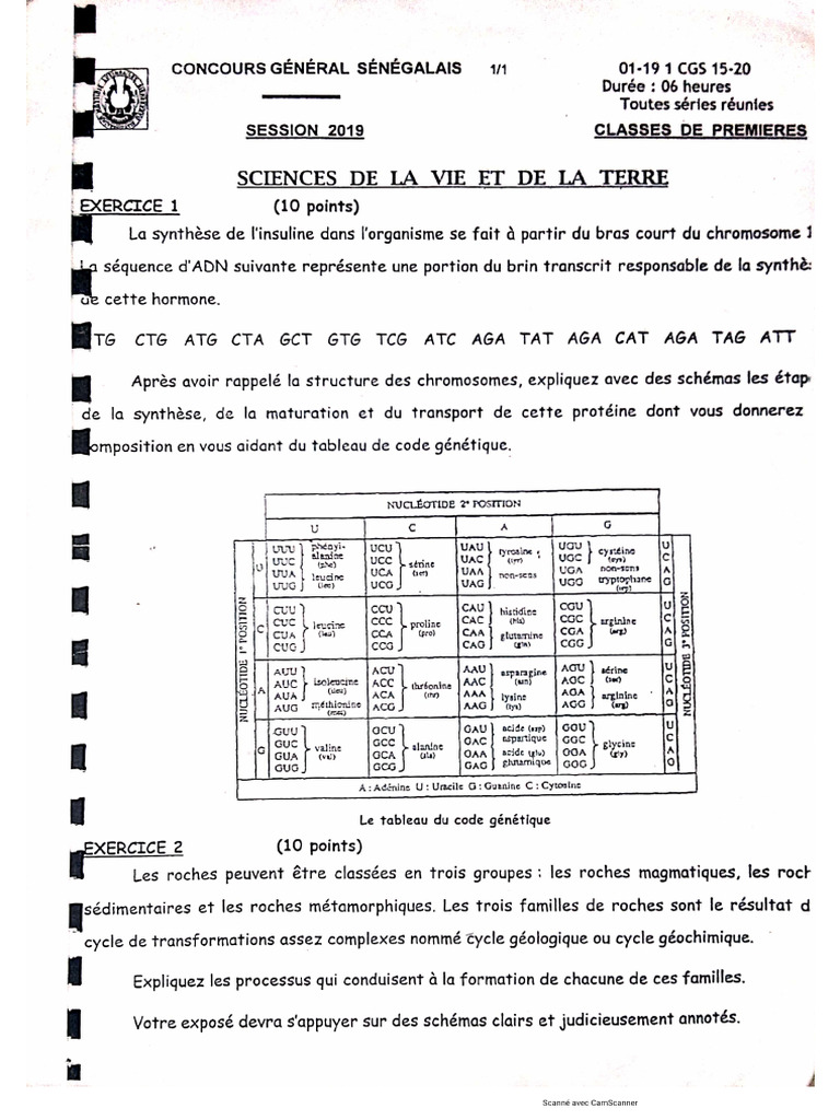 CGS 1ere 2019 | PDF