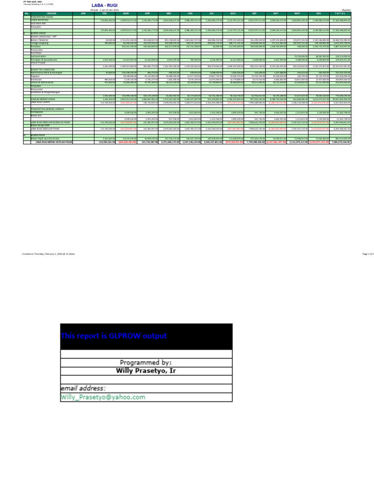 Format - Laba Rugi | PDF