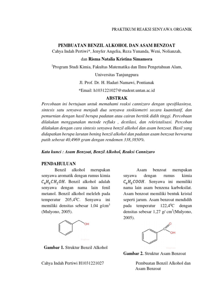 Laporan RSO Modul 2 | PDF