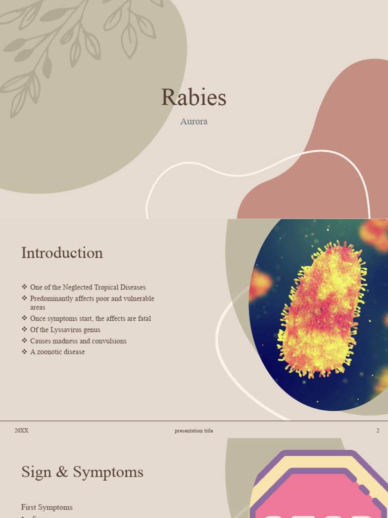 Rabies Presentation | PDF | Rabies | Medicine