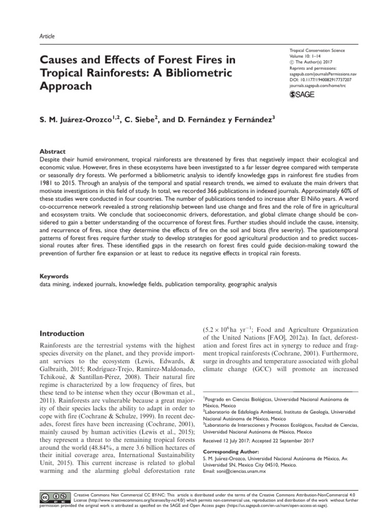 Forest Fires in Tropical Rainforests: Causes & Effects | PDF | Forests ...