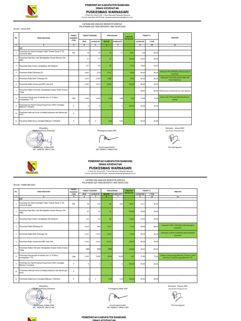 Laporan Capaian Gizi Warnasari Pdf