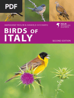 Bto Bird Species Codes | PDF