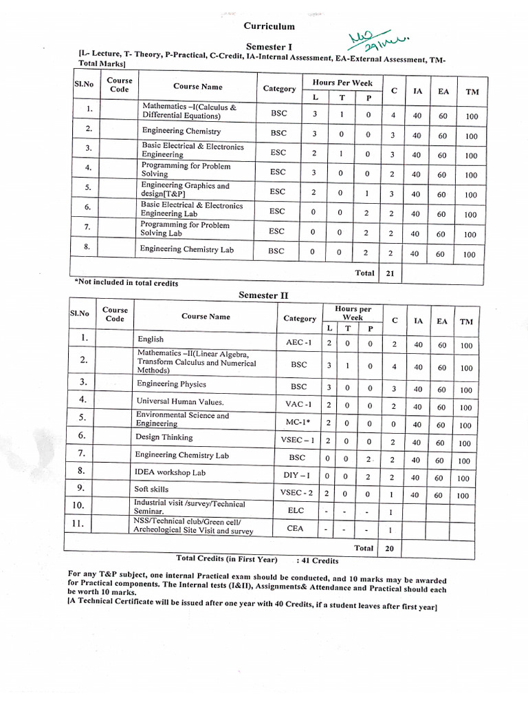 Iyear Curriculum | PDF