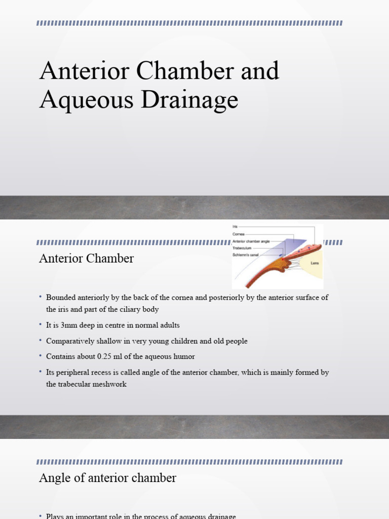 Anterior Chamber and Aqueous Drainage | PDF | Diffusion | Cell Membrane