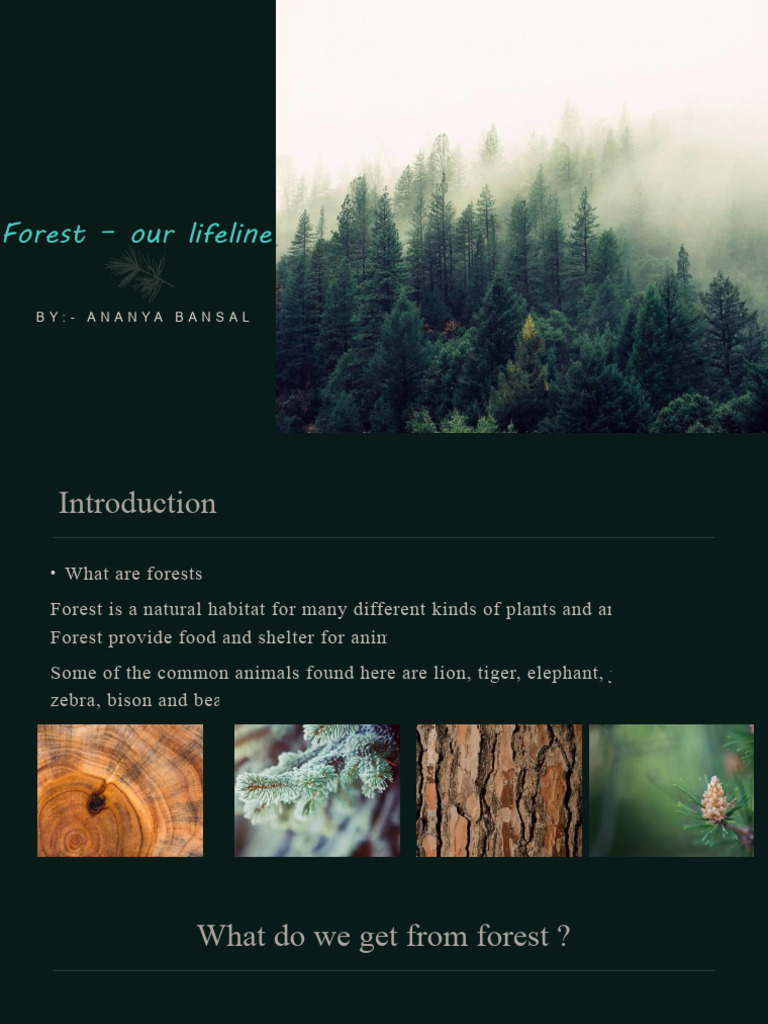 Importance of Forests for Ecosystems | PDF | Home & Garden