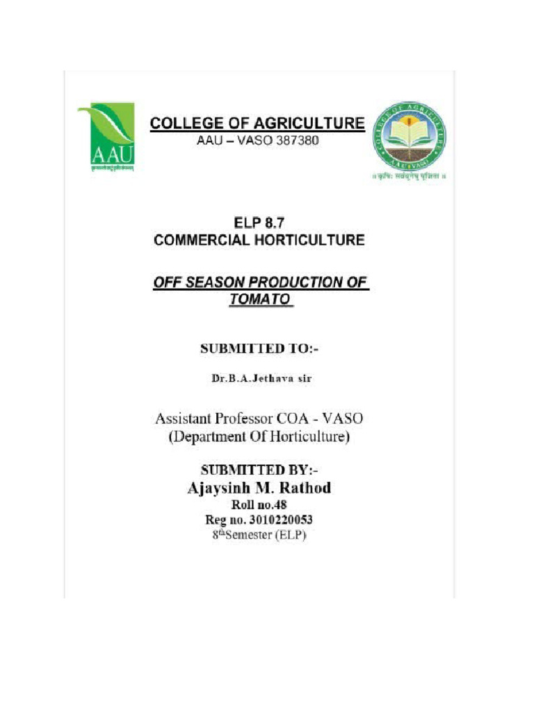 Ajaysinh Roll No 48, Off Season Production of Tomato | PDF | Tomato | Agriculture