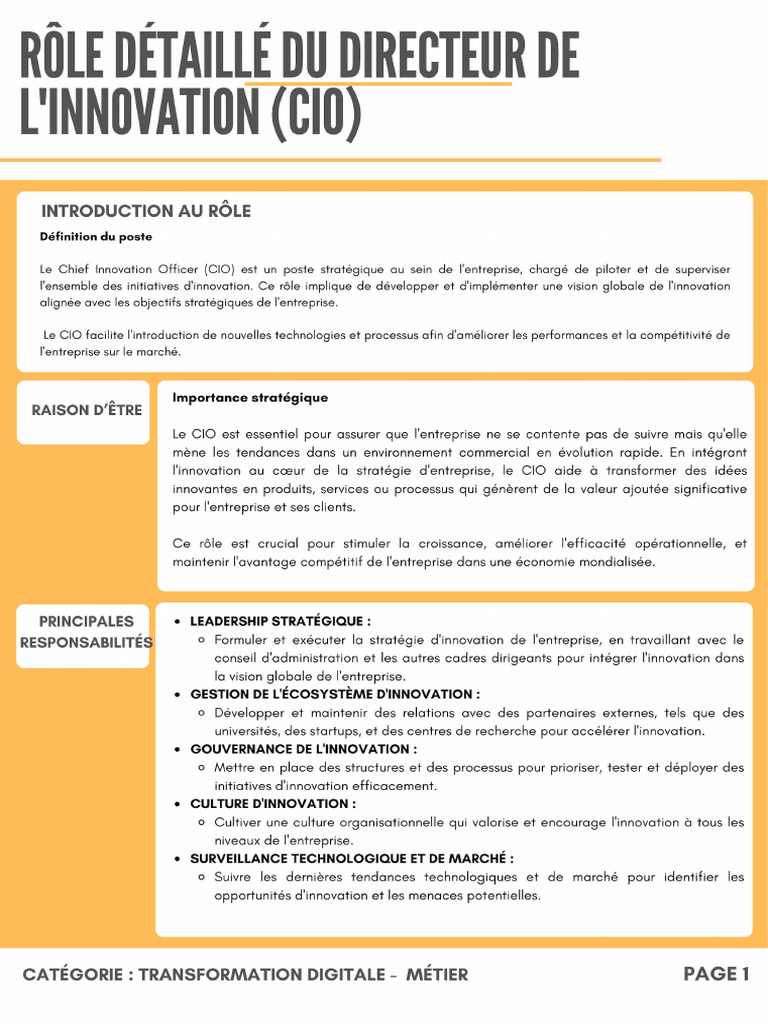 Séminaire 2024 PIA Ynov Campus - Fiche Métier CIO | PDF