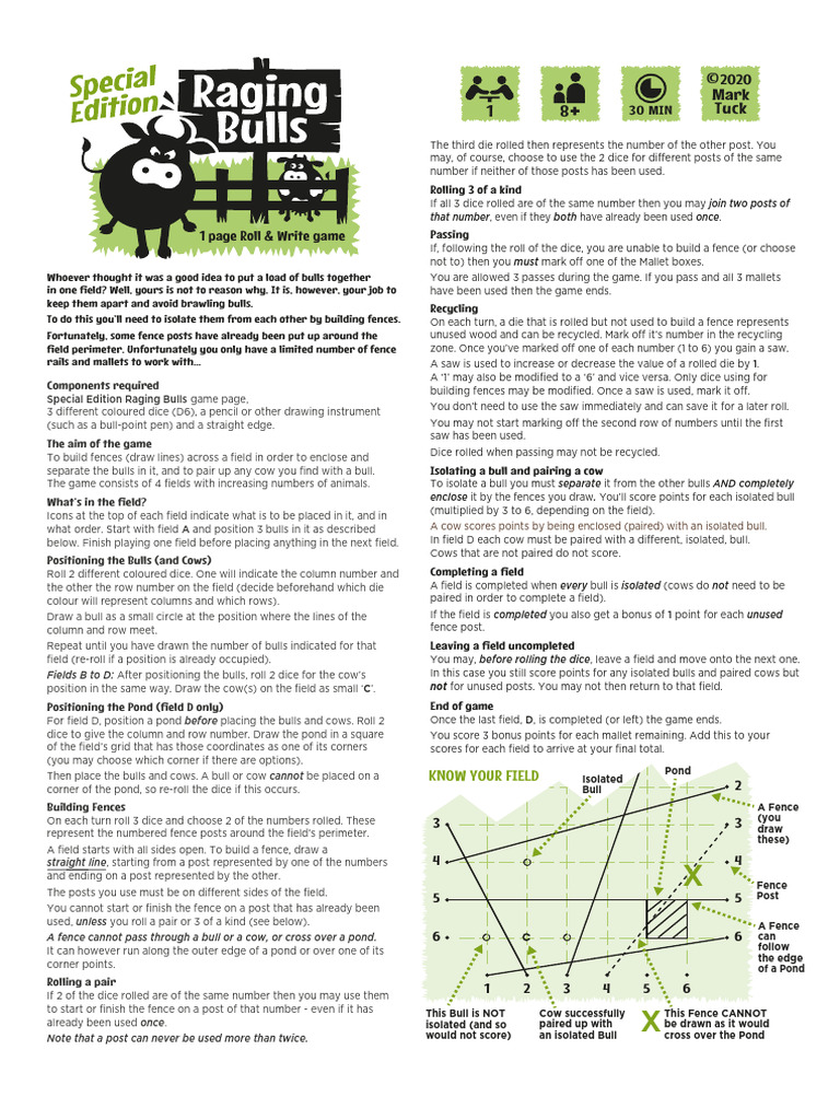 Raging Bulls SE | PDF