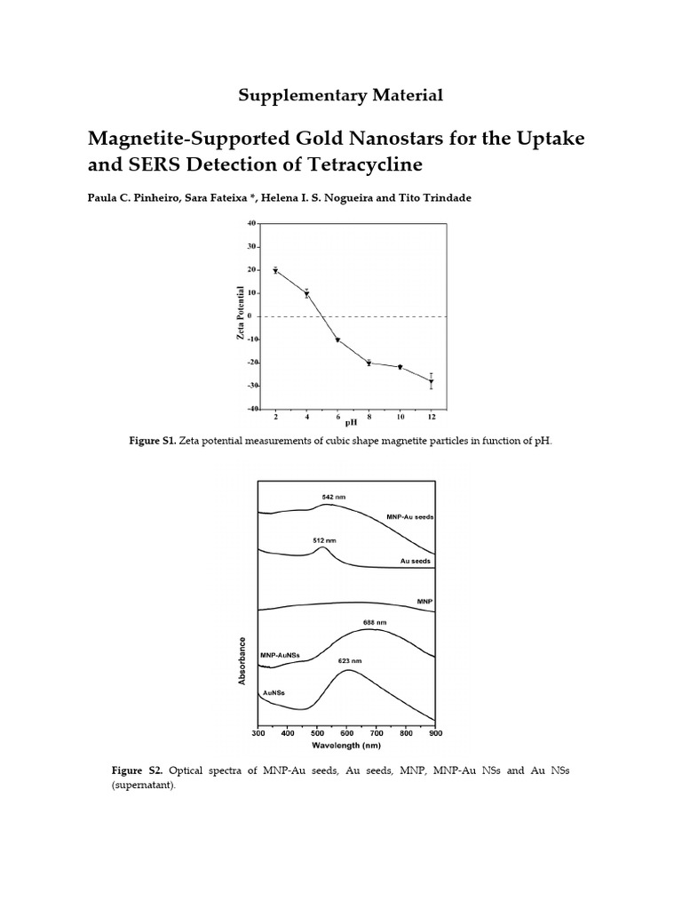 Magnetite-Gold Nanostars for SERS Detection | PDF