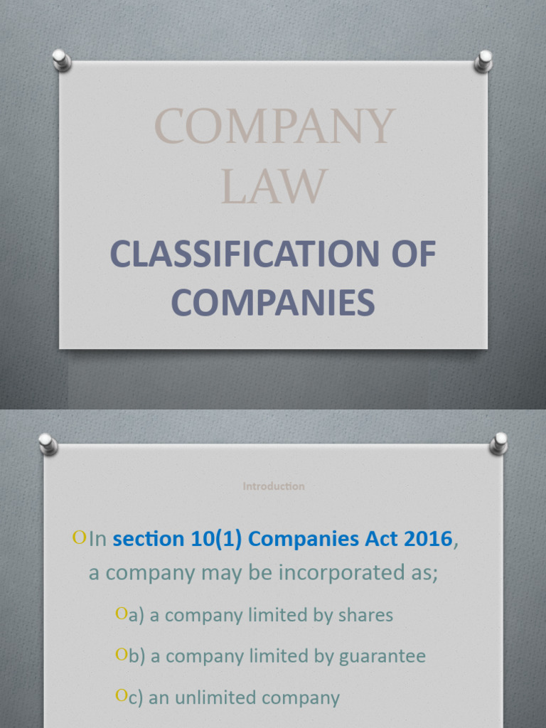 Classification of Companies | PDF | Companies | Business Economics