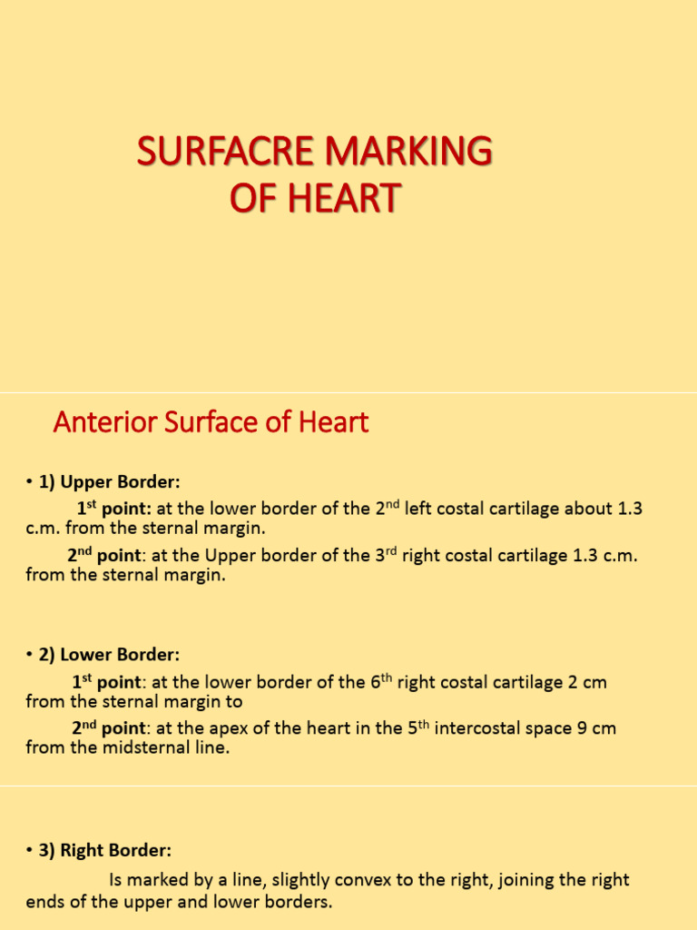 Surface Marking of Heart | PDF