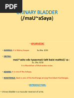 Ligaments of the Urinary Bladder | PDF