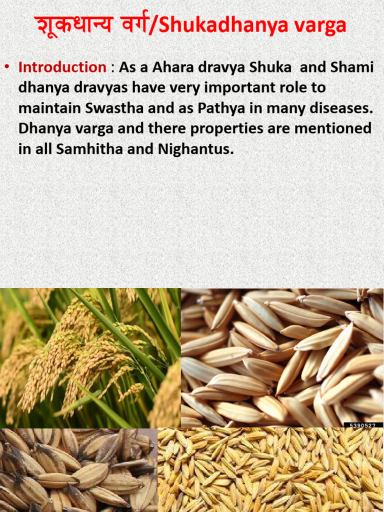 Shuka & Shami Dhanya Varga | PDF | Cultures | Aliments de base