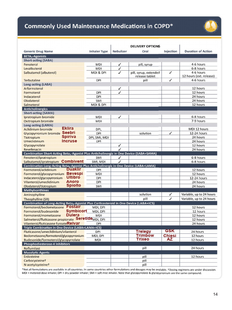 inhalers__gold_2023_ | PDF