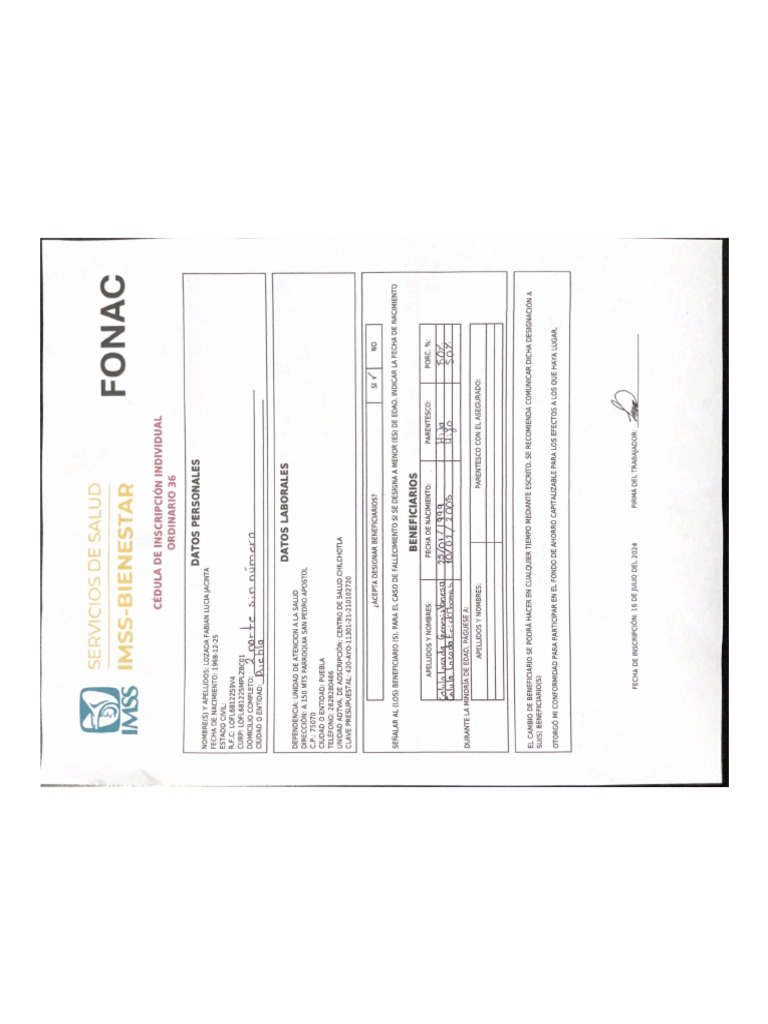 IMSS | PDF