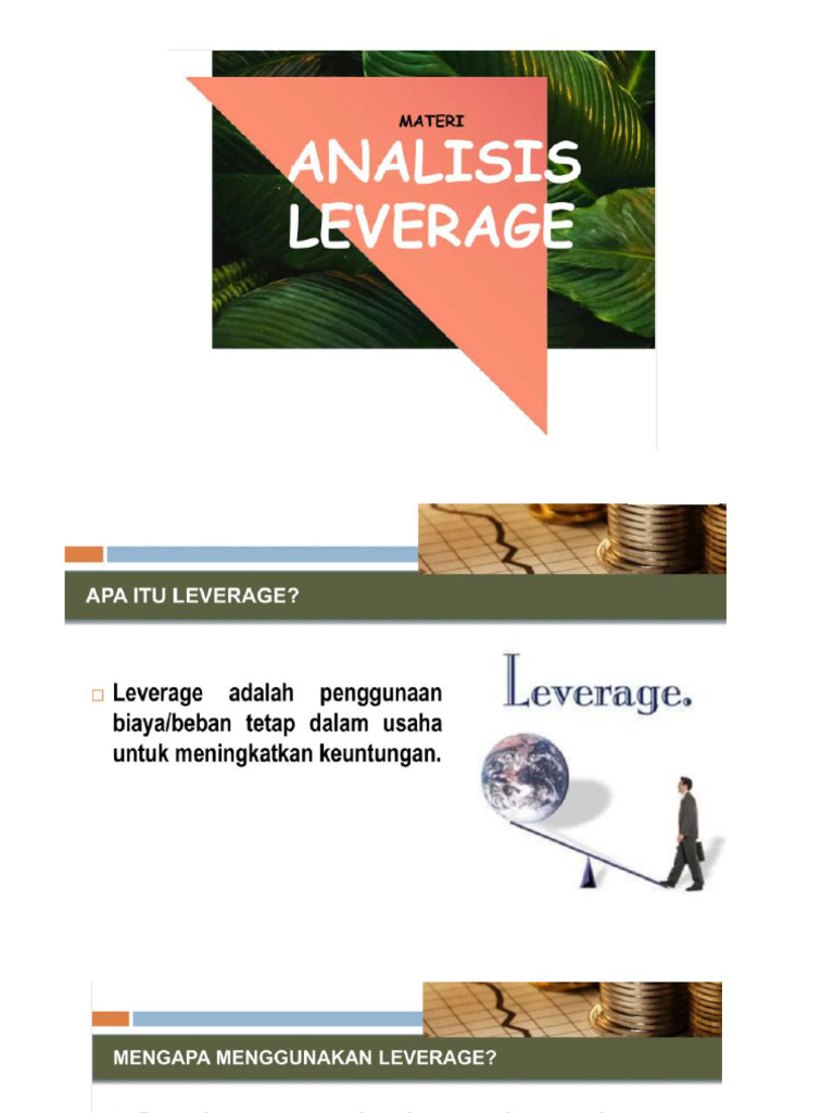 Leverage | PDF