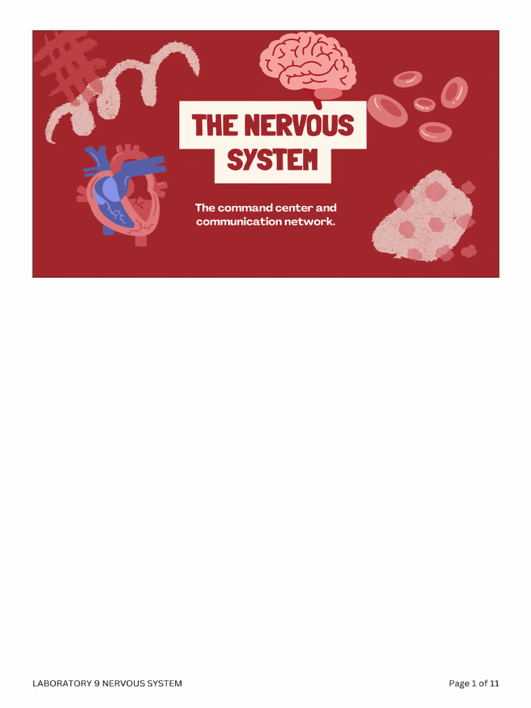 Laboratory 9 Nervous System | PDF