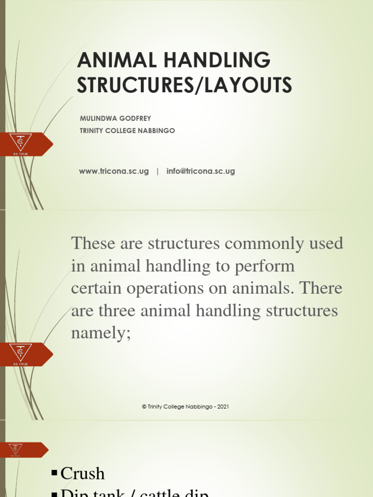 S.5 Agriculture Animal Handling Layouts Mu | PDF