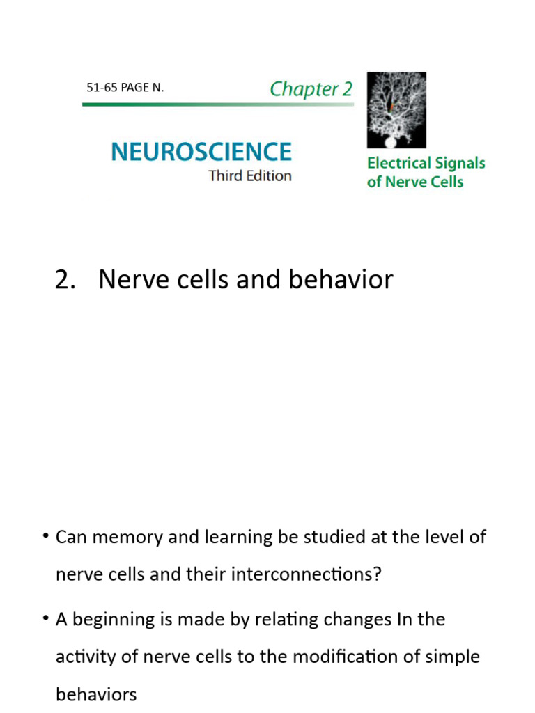 Nerve Cells and Behavior | PDF | Neuron | Action Potential
