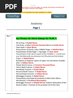 Understanding the Horse's Stay Apparatus | PDF | Skeletal System | Joints
