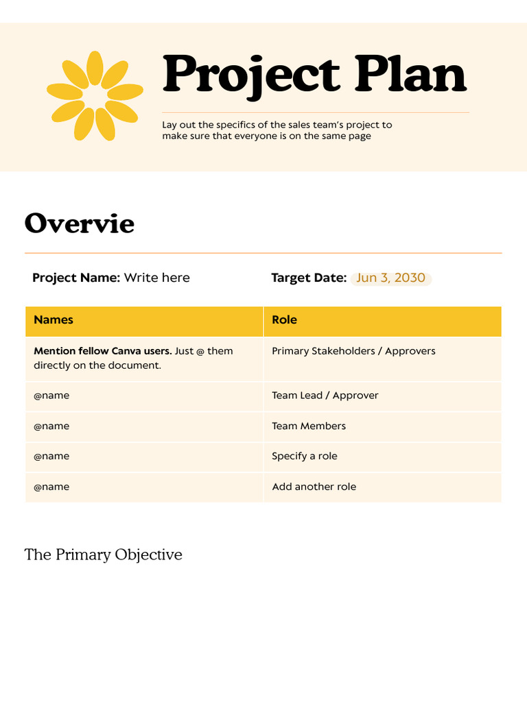Project Plan Doc_20240707_160311_0000 | PDF | Computing | Information Technology