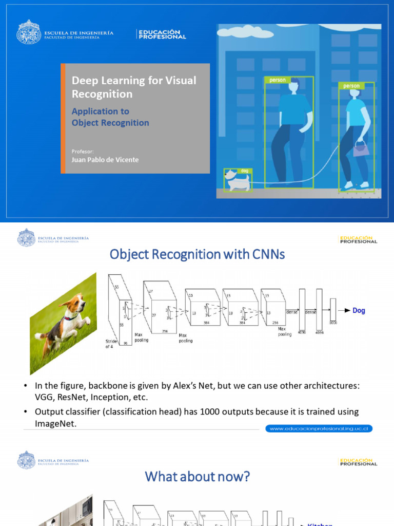 DINTA Object Recognition | PDF | Cognitive Science | Machine Learning