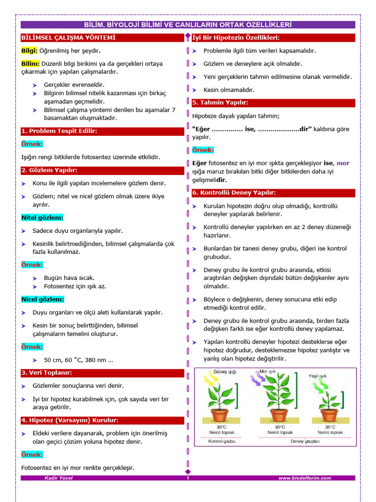 Canlıların Ortak Özellikleri | PDF
