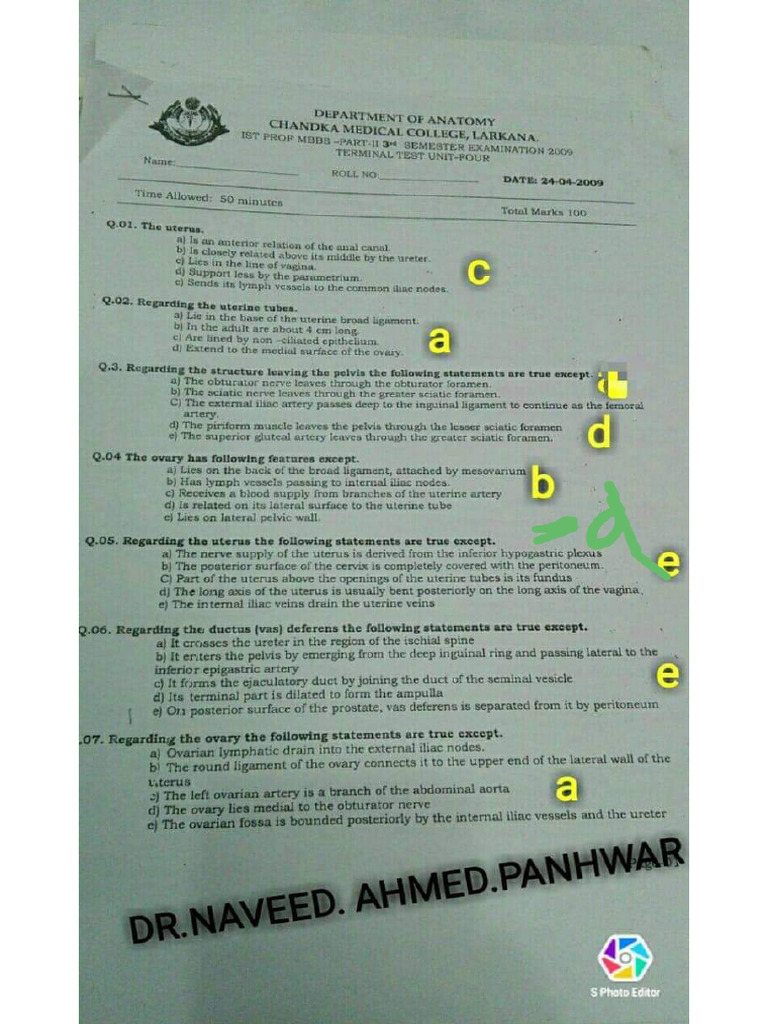 Anatomy Bcqs Solved | PDF